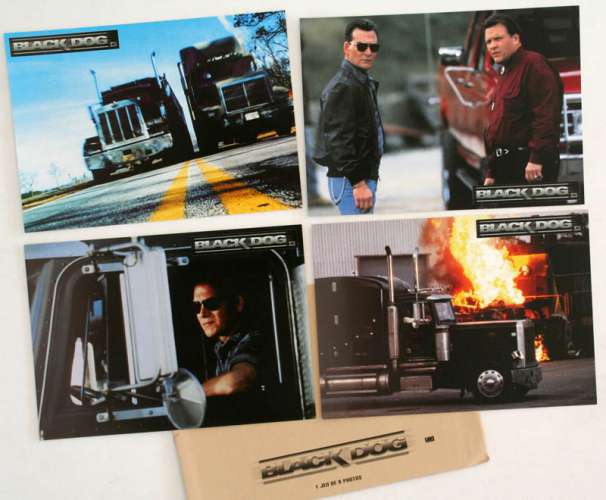 8 photos d'exploitation du film BLACK DOG (1998)
