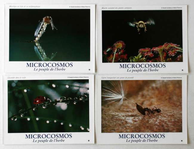 10 photos d'exploitation du film MICROCOSMOS: LE PEUPLE DE L'HERBE (1996)