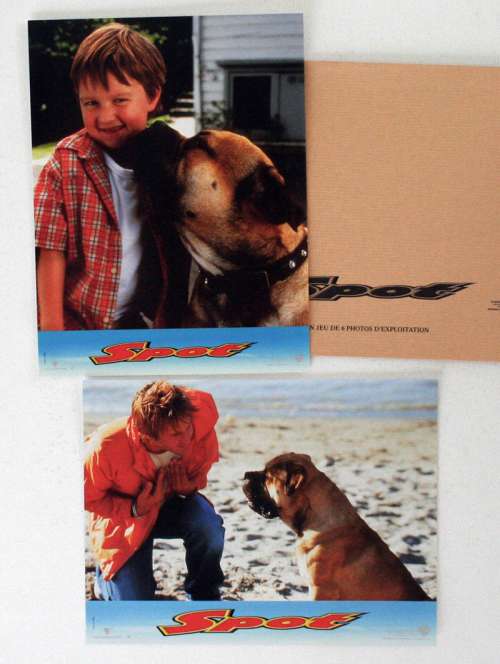 6 movie stills from SEE SPOT RUN (2001)